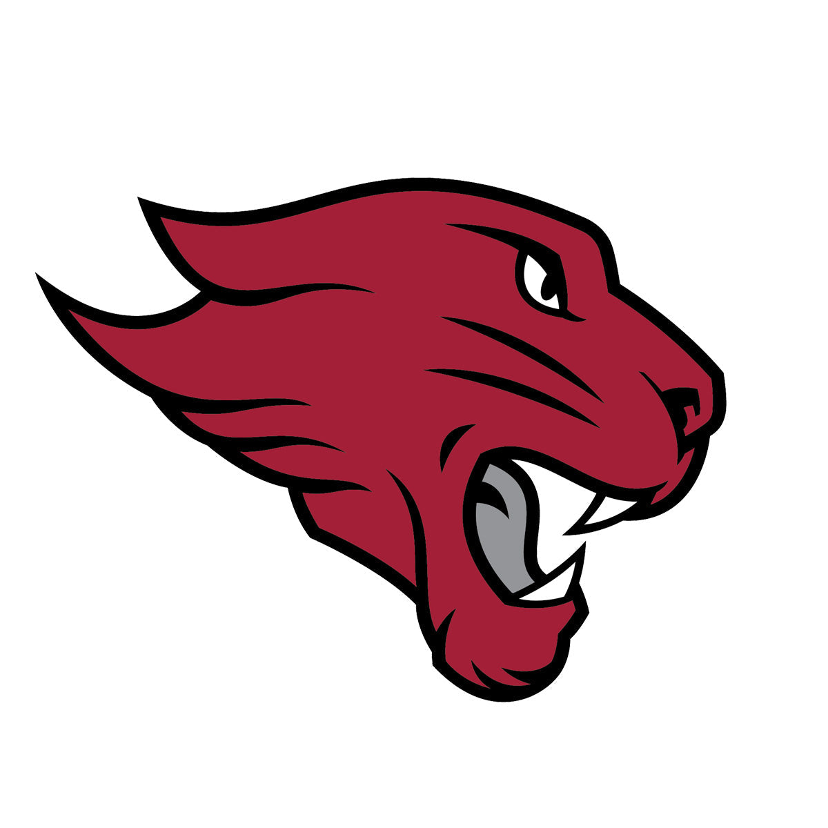 Concordia University Chicago – Crescent Brands