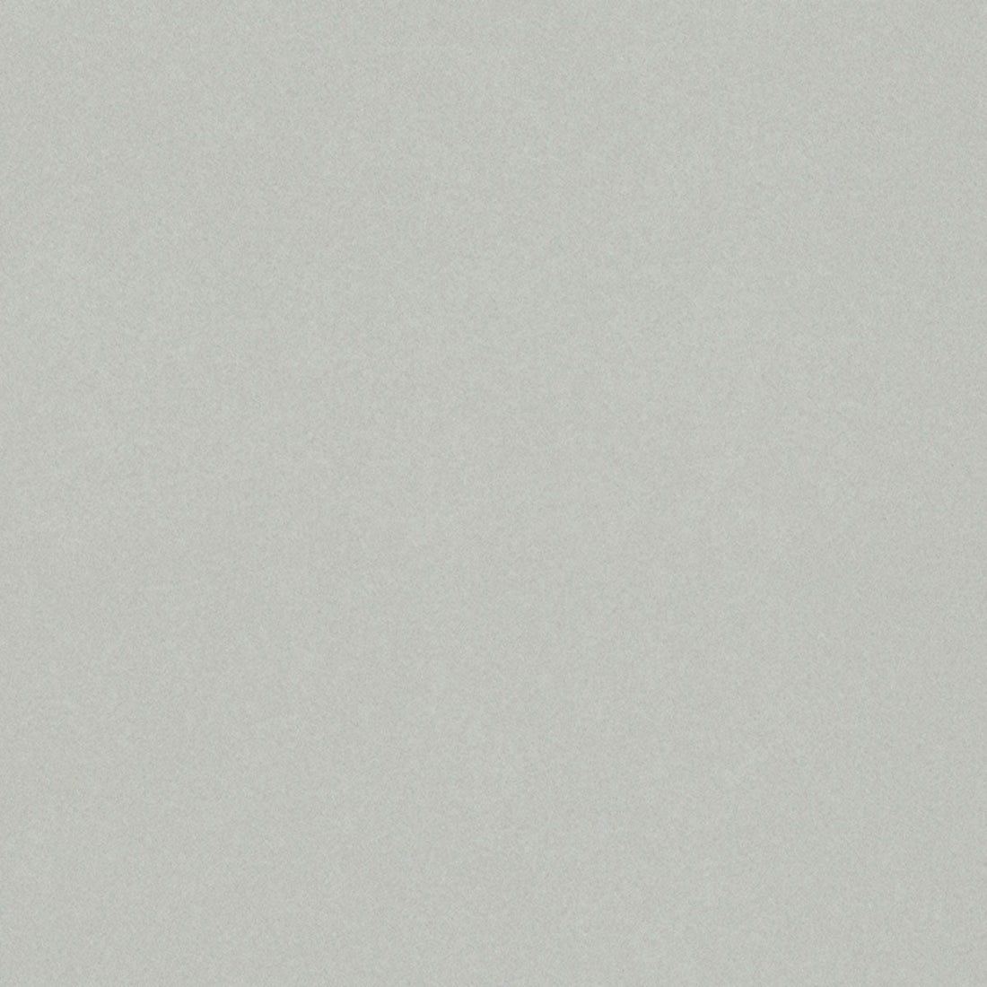 Dawn Gray – Crescent Brands