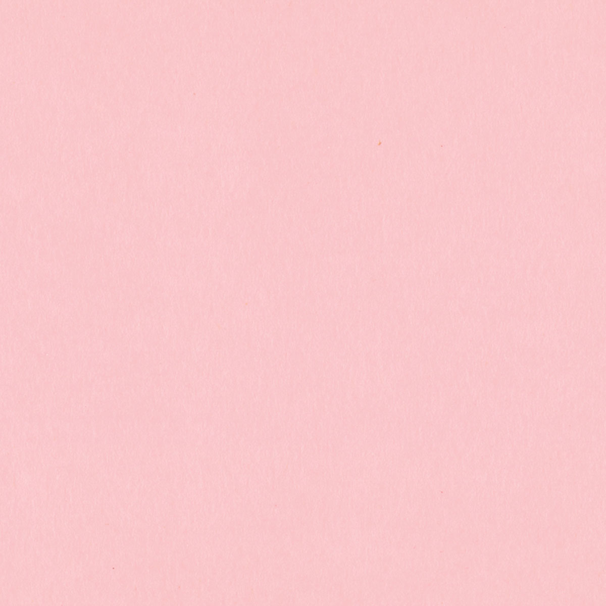 Cherub Pink – Crescent Brands